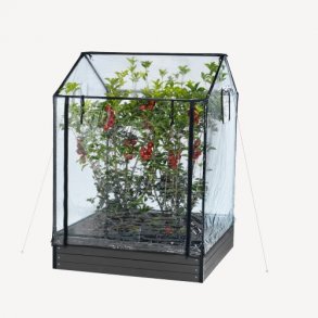 Minidrivhuse, vægdrivhuse og væksthuse med kapilærkasse samt væksttunneller